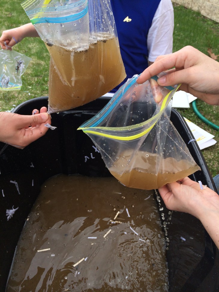 Earth Day Water Pollution Activity: A Cross Curricular Inquiry Study ...