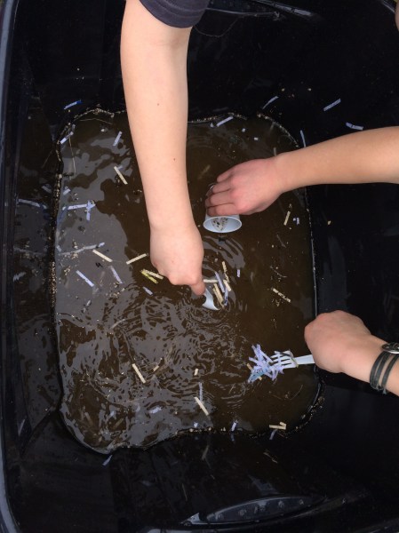 Earth Day Water Pollution Activity: A Cross Curricular Inquiry Study ...